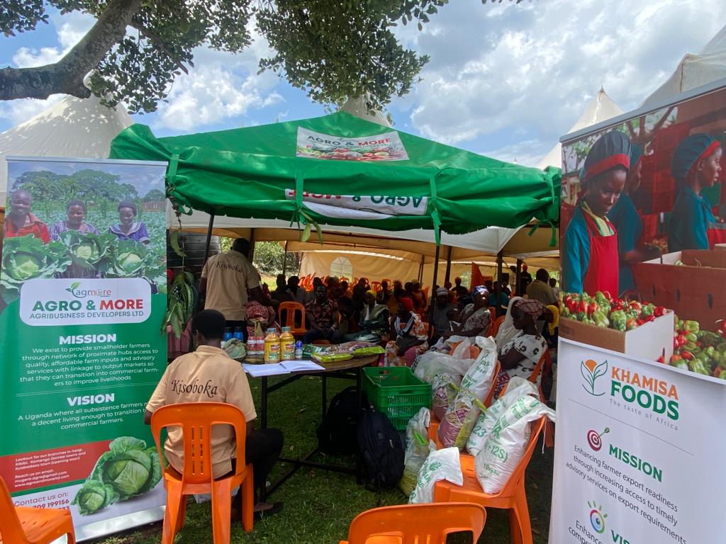 Agro and More Agri-bussiness Developers Ltd - Kisoboka